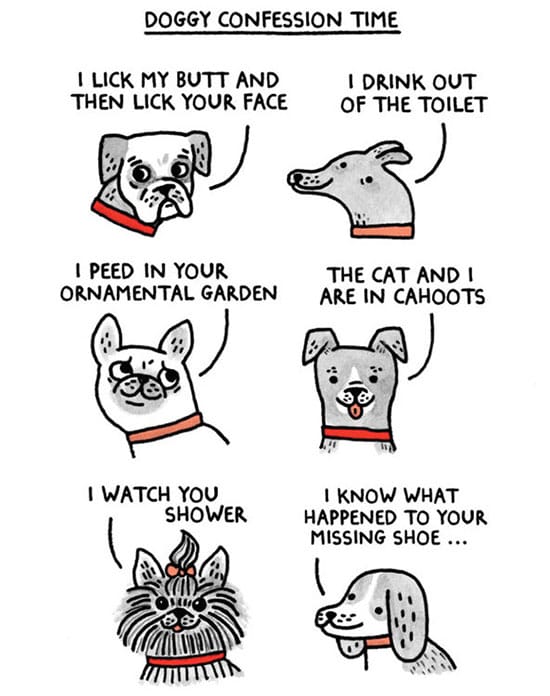 10 Comics Every Dog Owner Will Understand