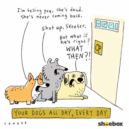 10 Comics Every Dog Owner Will Understand