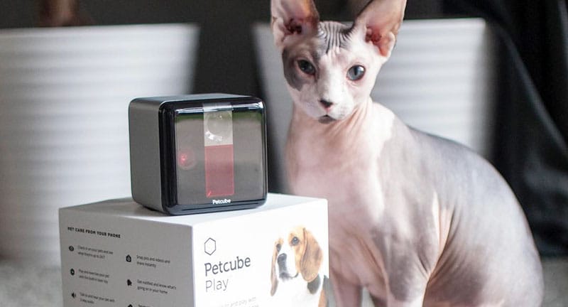 15 Reasons Why Petcube Play is the Best Gadget for Pet Lovers