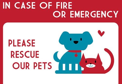7 Critical Pet Fire Safety Tips