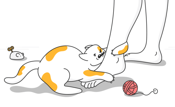 Why Do Cats Knock Things Over?