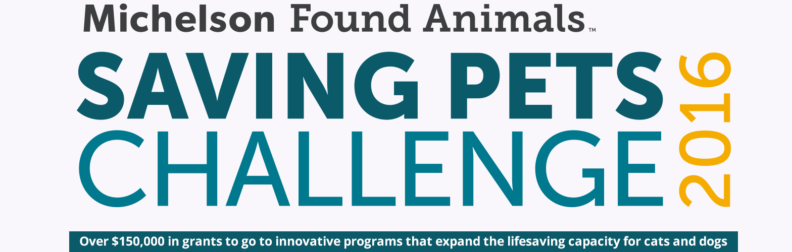 Petcube Supports Found Animals Saving Pets Challenge