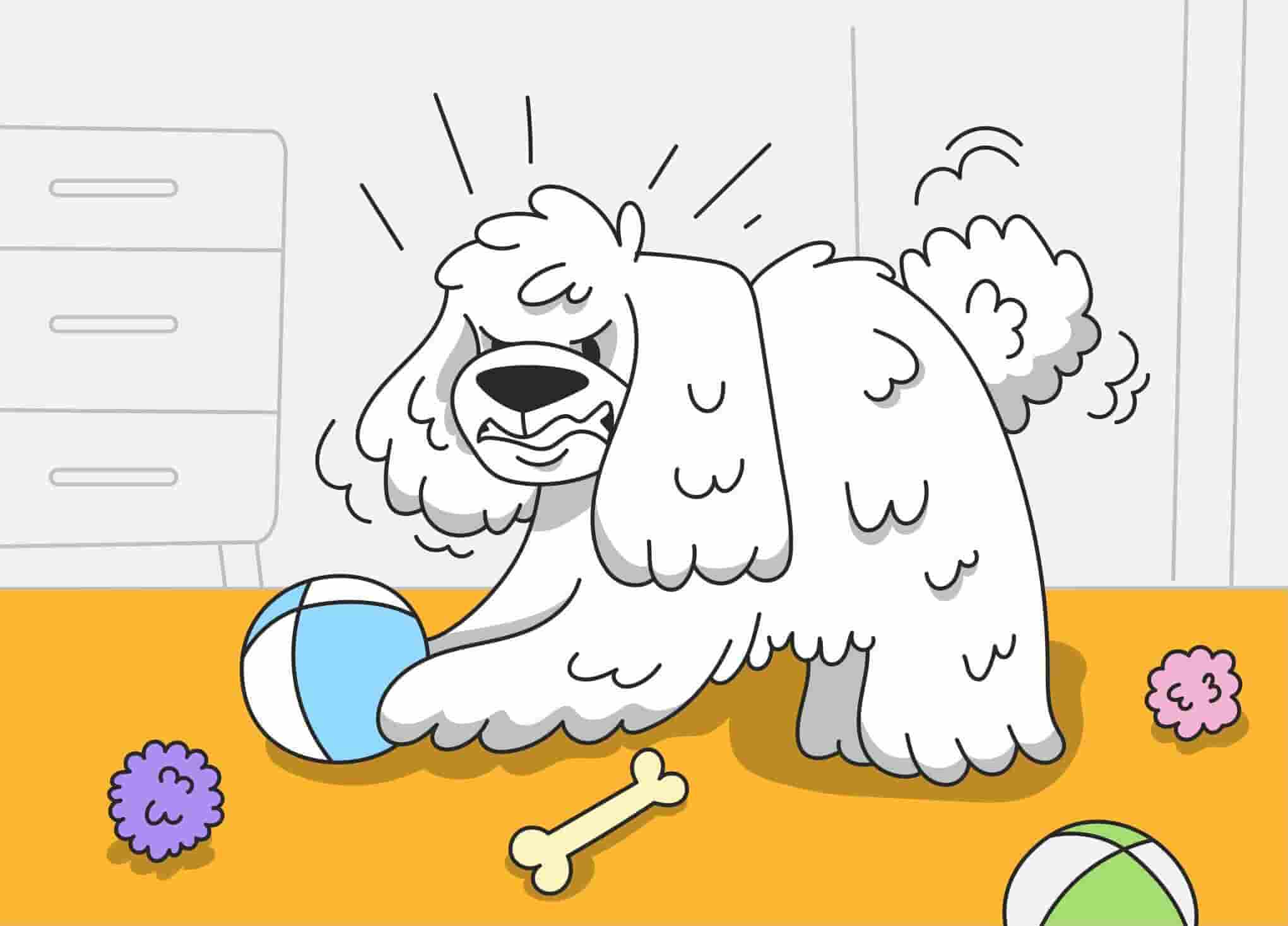 Not Just Aggression: 6 Reasons of Dog Growling and Snarling