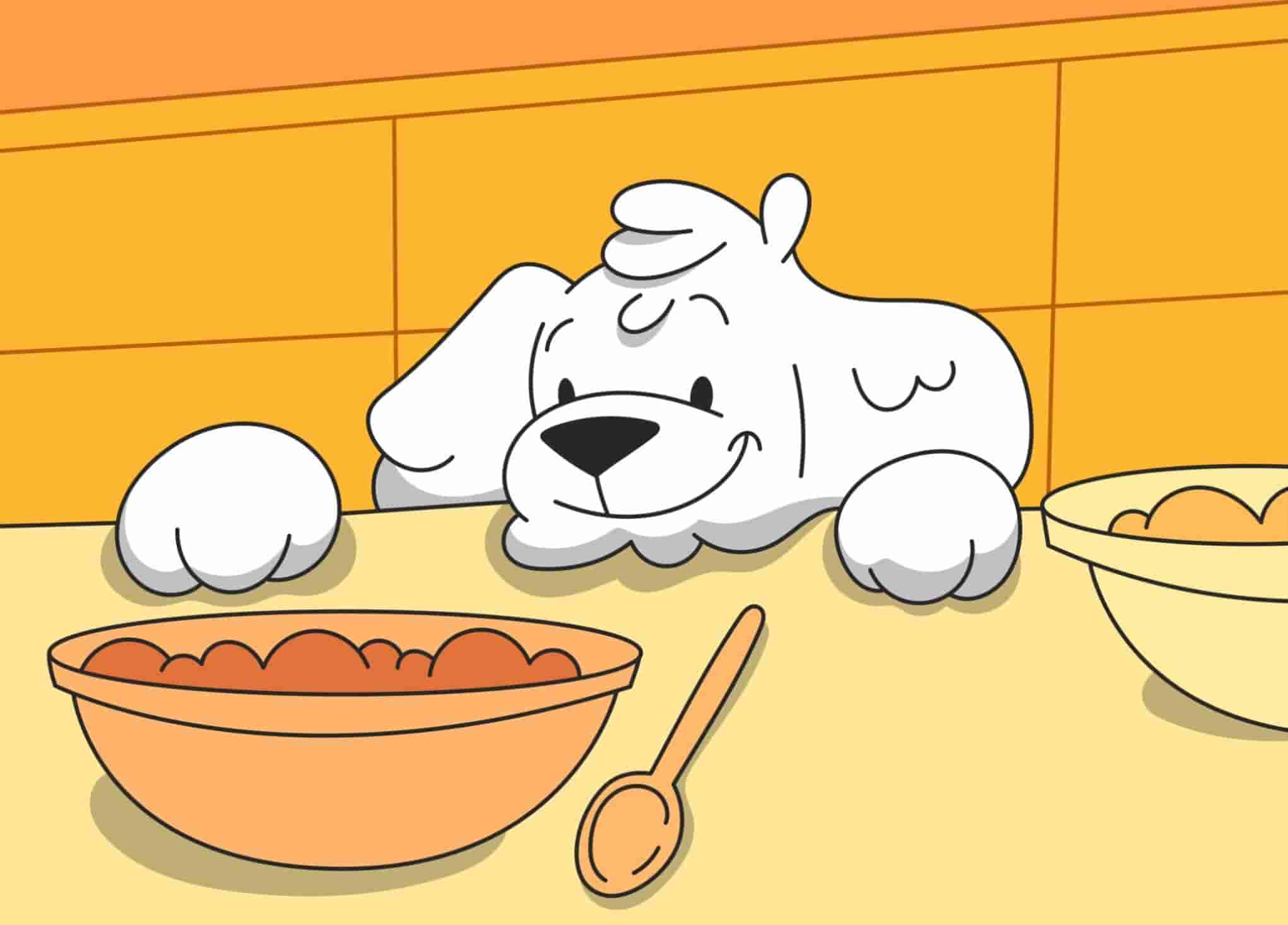 Dogs Counter Surfing: Causes and Solutions on How to Stop