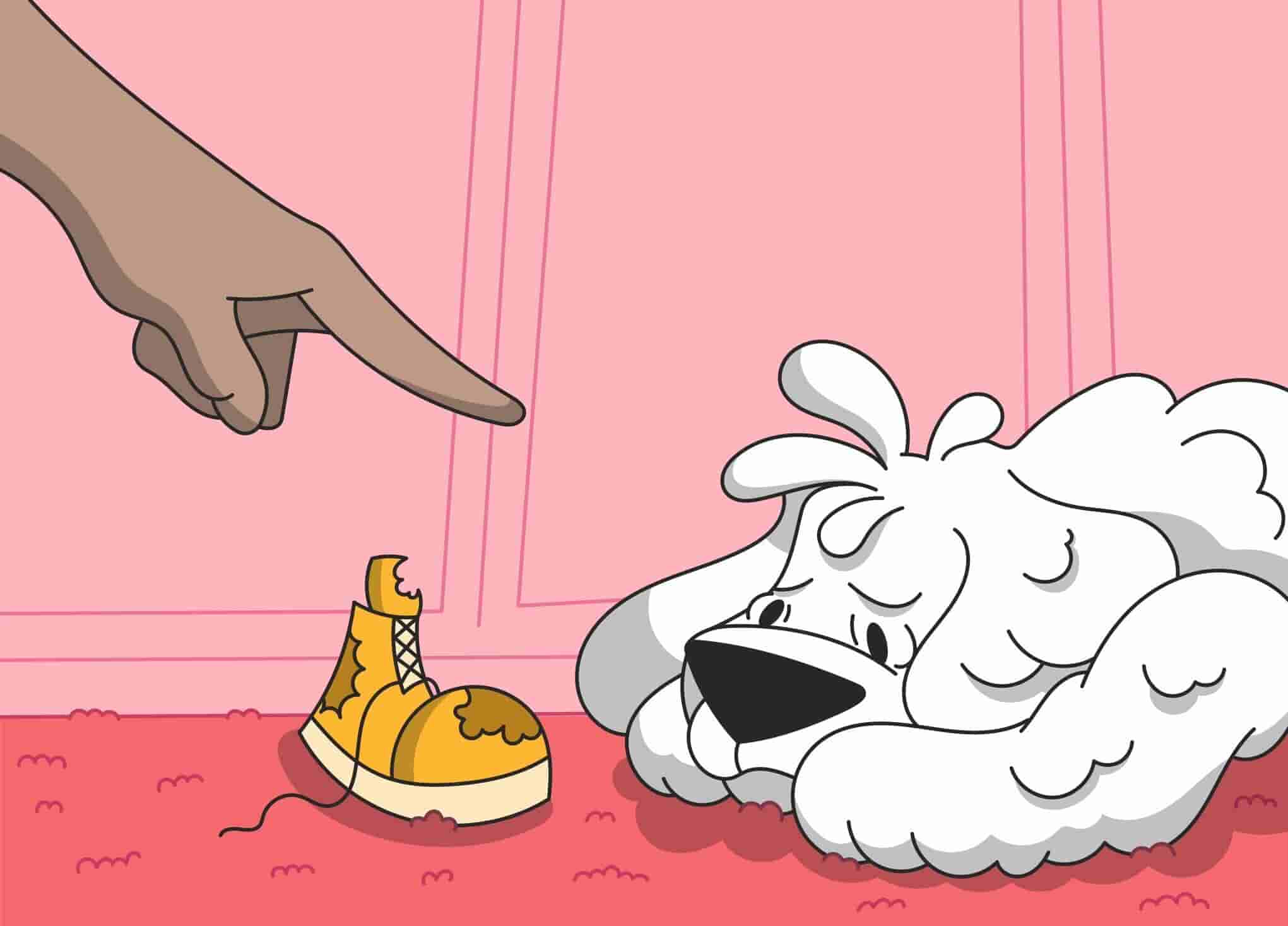 How to Discipline a Dog Without Hitting, Advice and Tips