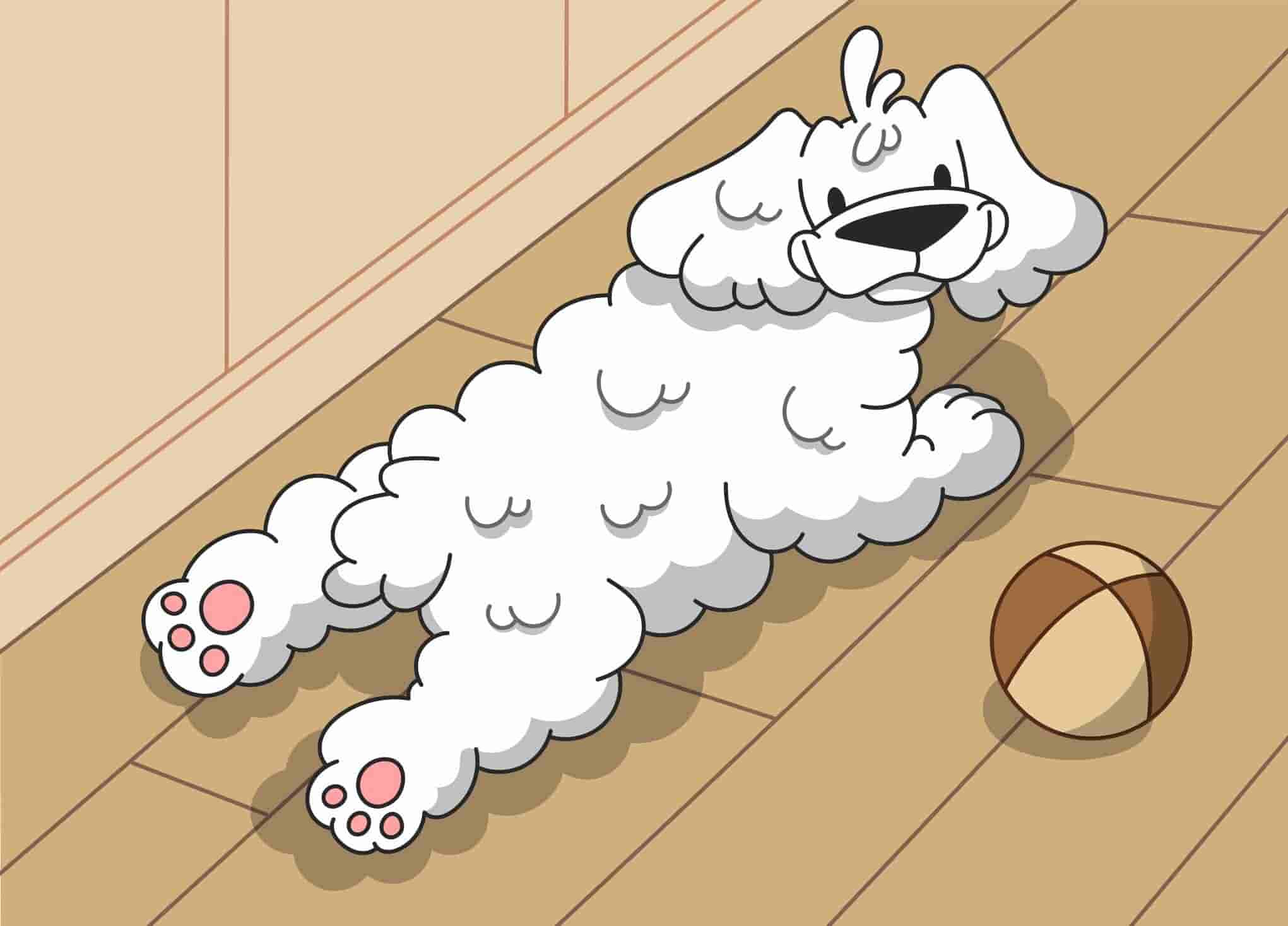 What Is a Sploot? Definition, Examples, and Cuteness Overload