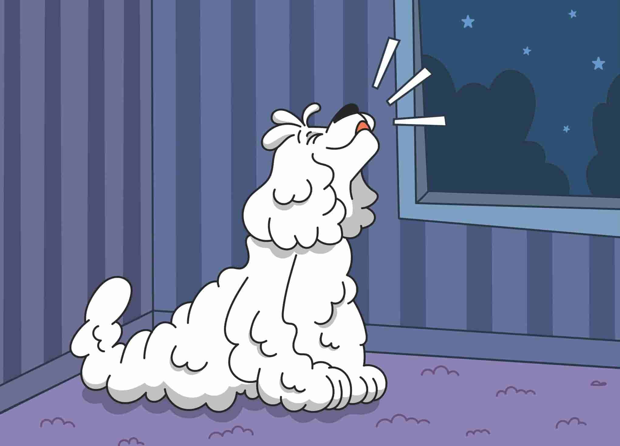 Dog Howling: Causes, Meaning, Howling Breeds, and Separation Anxiety