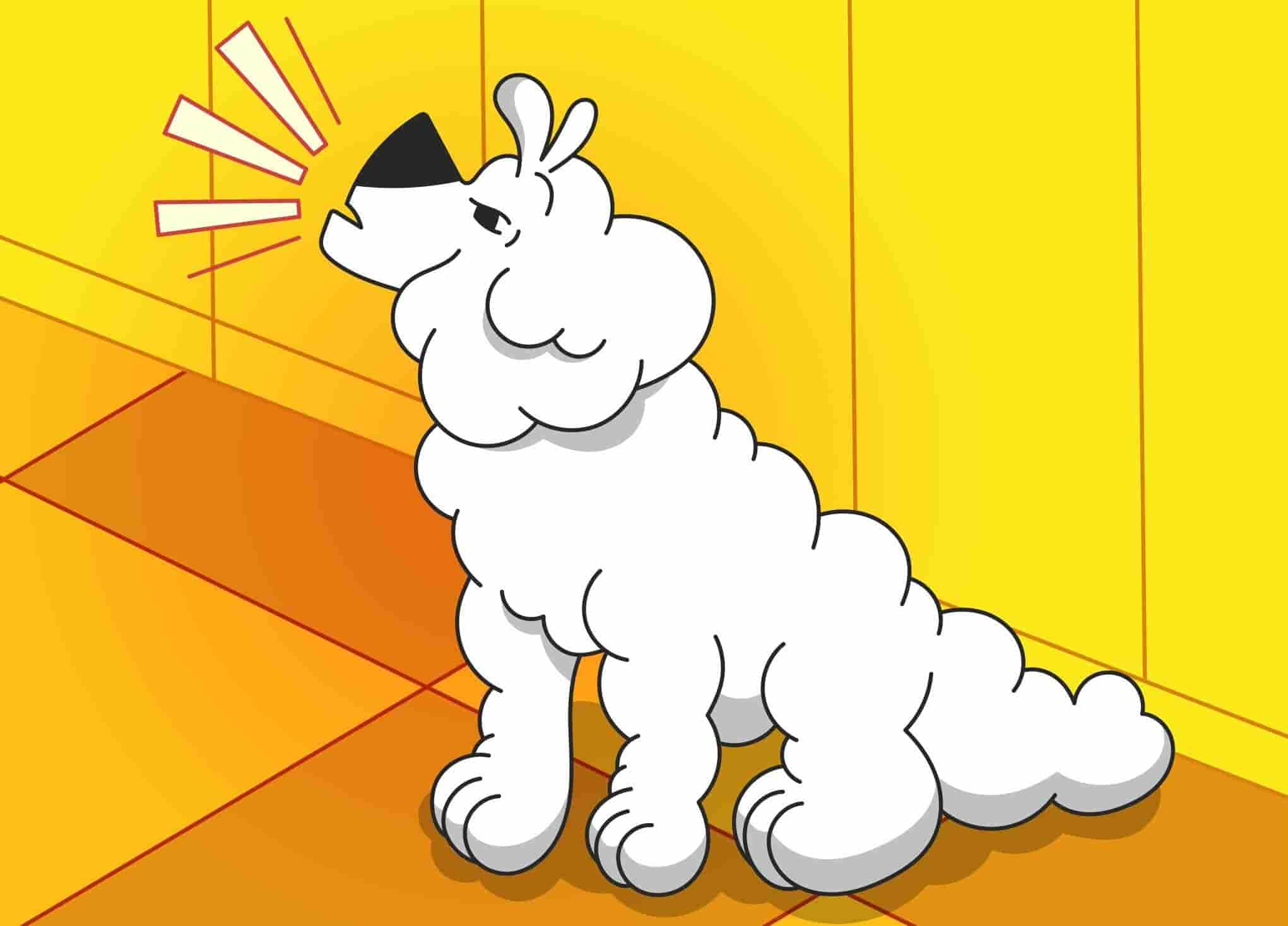 Happy Dog Sounds: What Do Different Dog Sounds Mean?