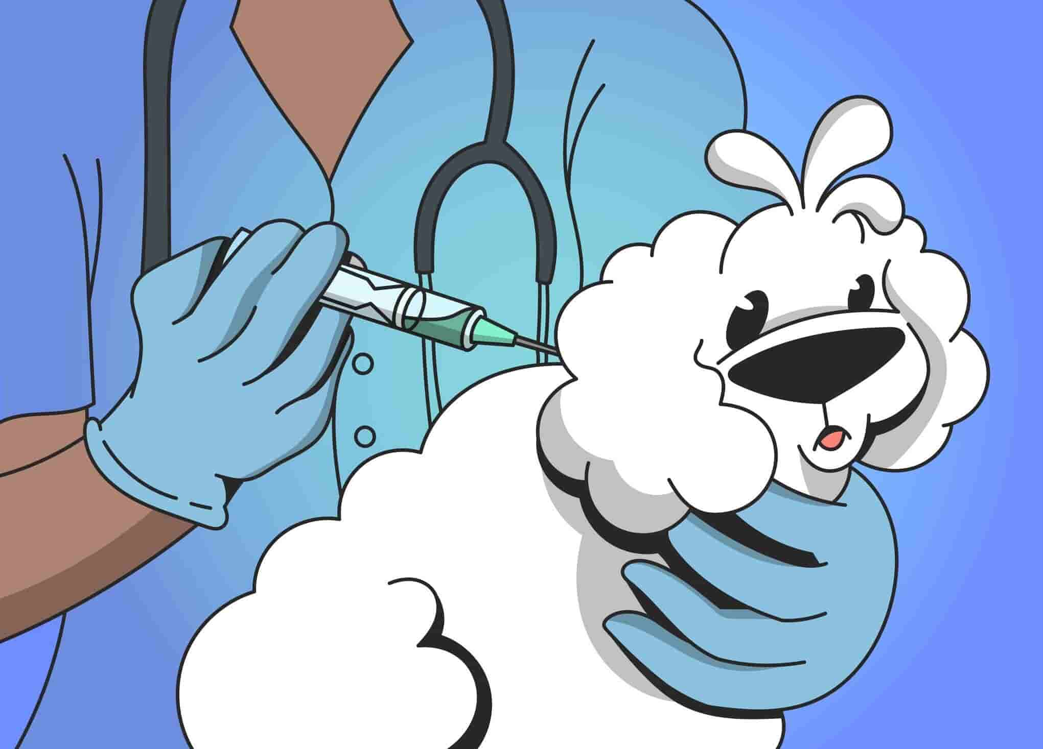 Pet Vaccinations: When and What Vaccines Cats & Dogs Need