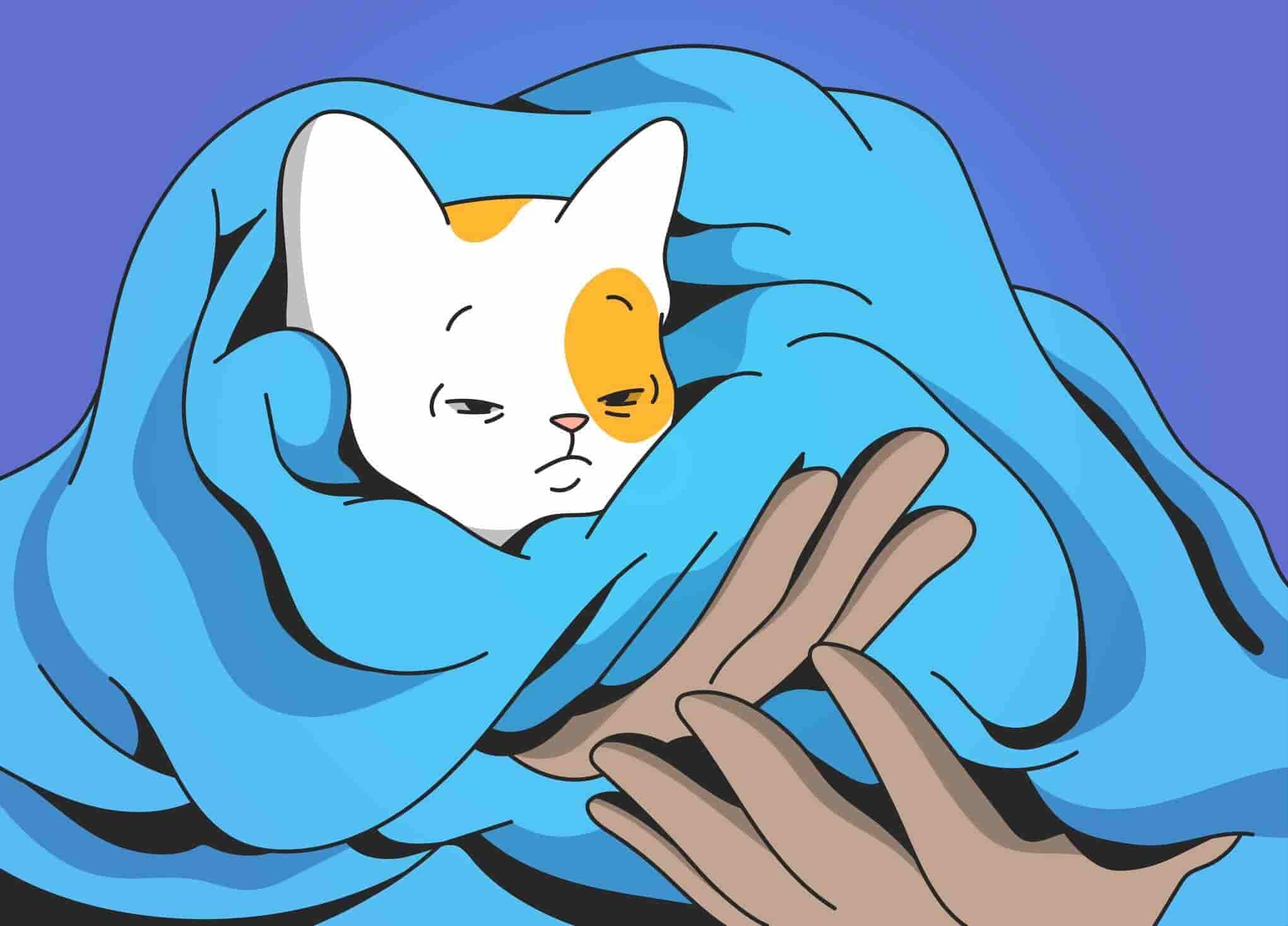 Fading Kitten Syndrome: All You Need to Know