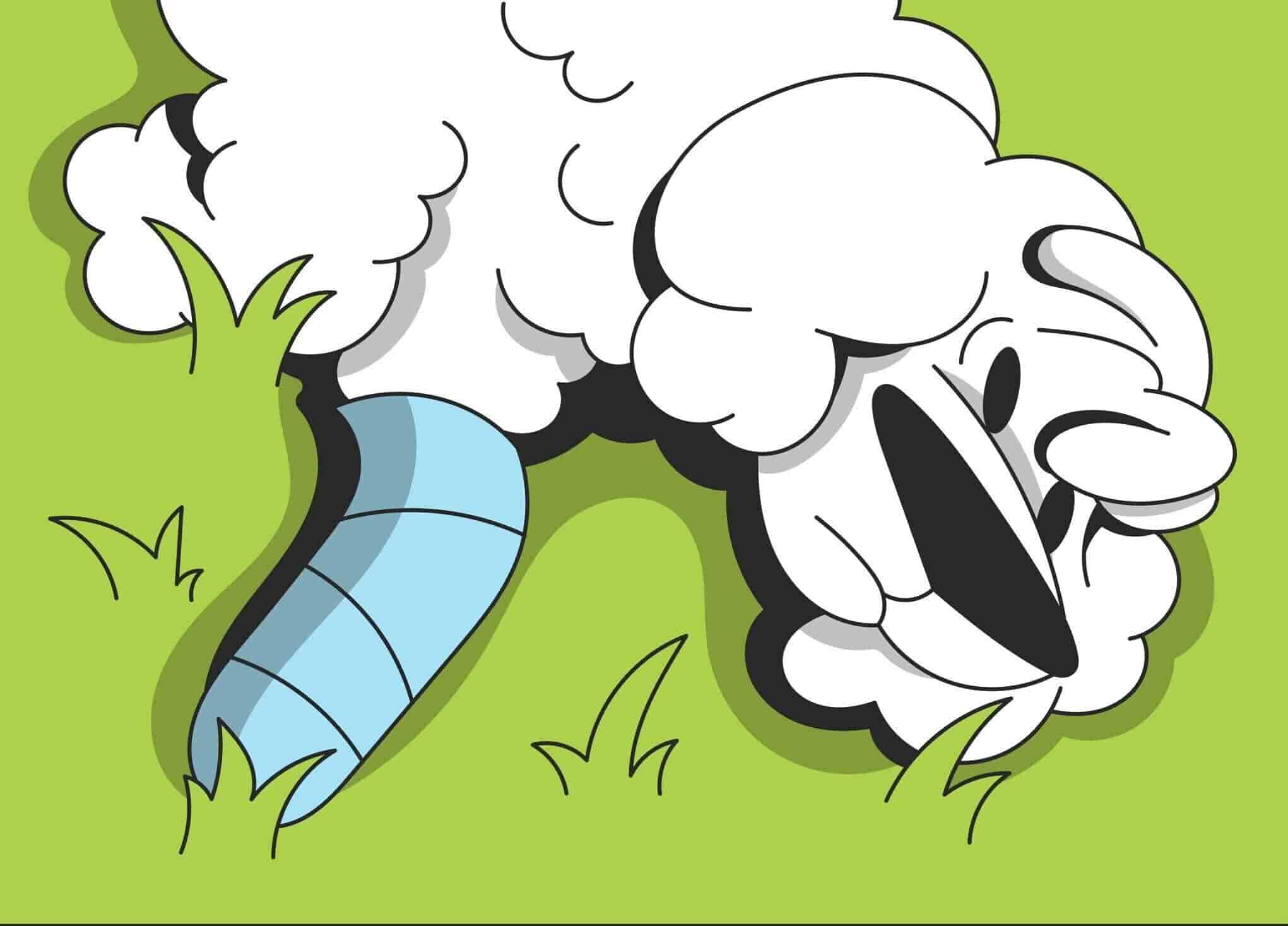 How to Treat a Limping Dog at Home?