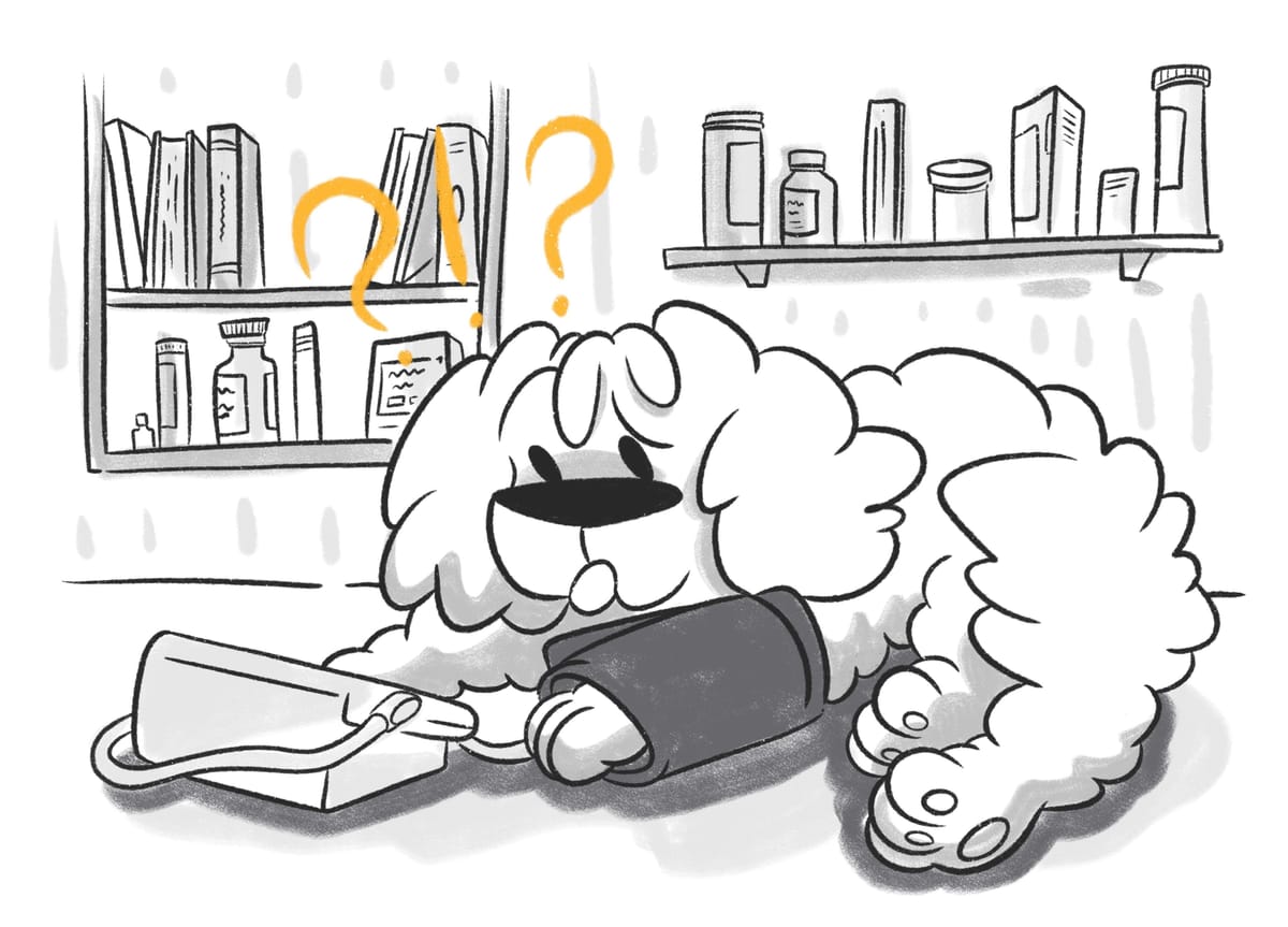 How to Take Blood Pressure On a Dog?