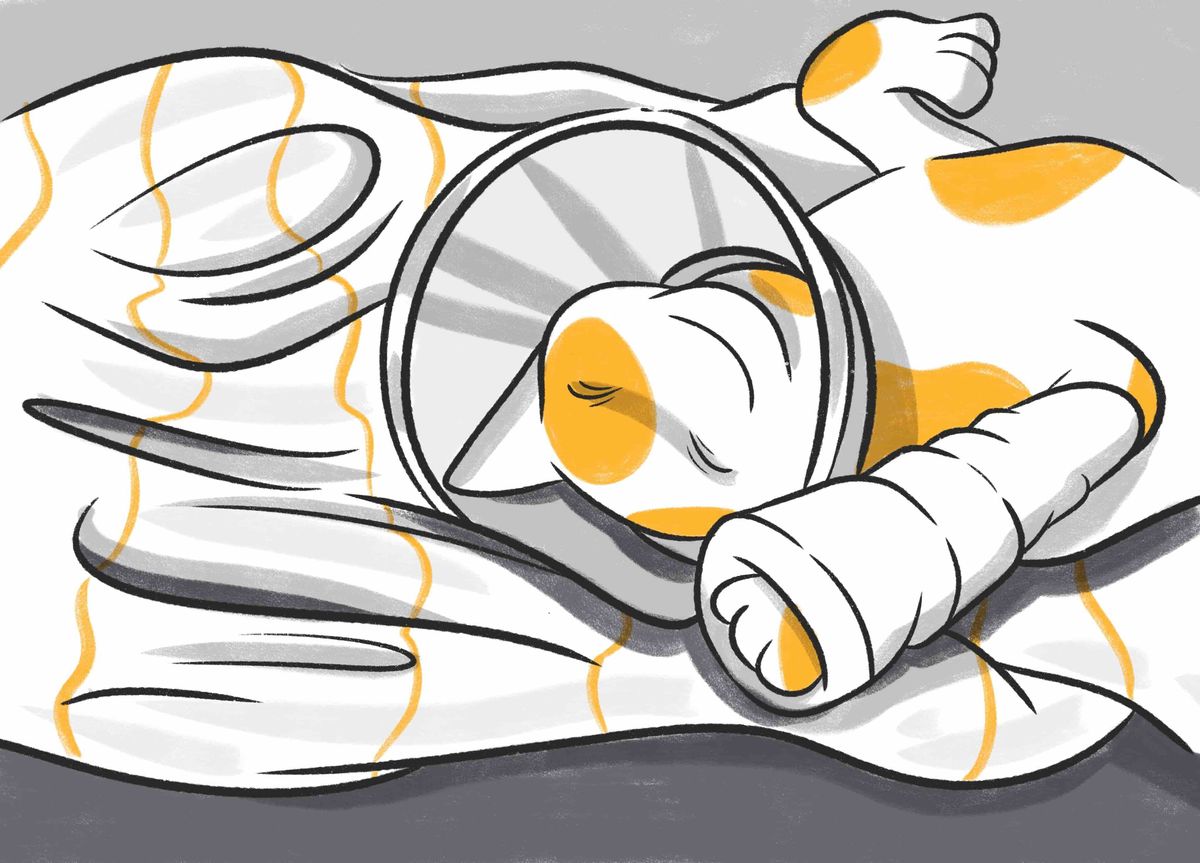 How To Tell If A Cat Has a Broken Leg & What To Do About It?