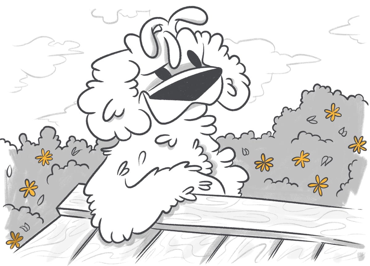 Do Dogs Know Their Names?