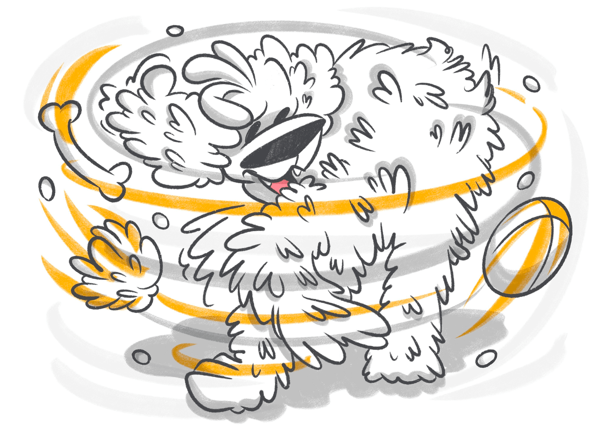 Why Do Dogs Walk In Circles?