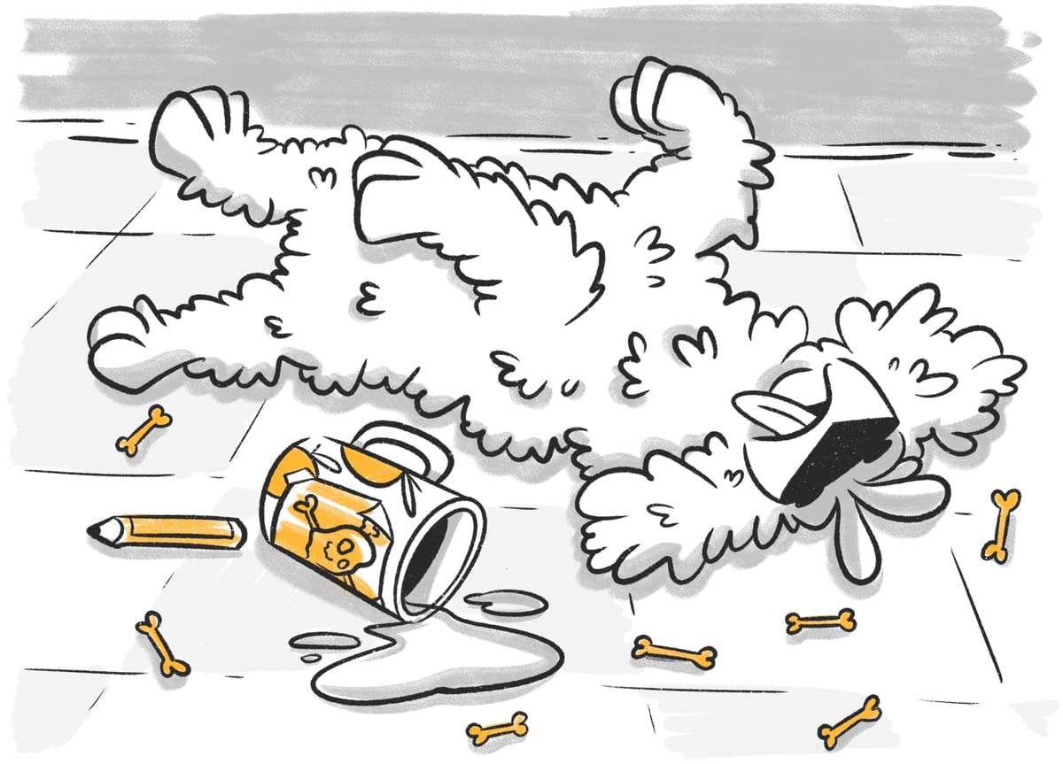 What BBQ Foods Are Safe for Dogs?