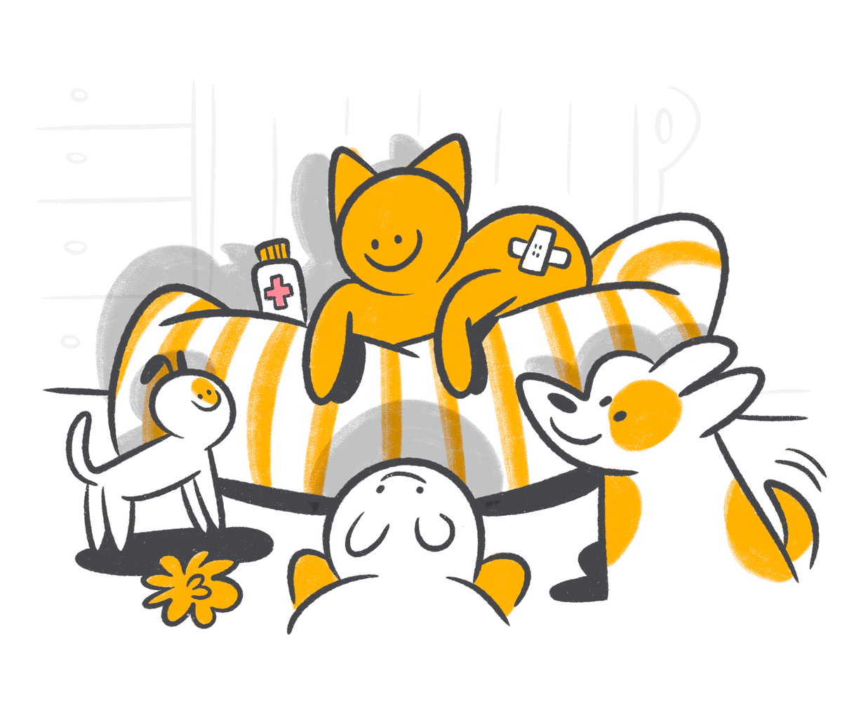 Tips for Cats with Cerebellar Hypoplasia