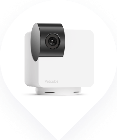 Petcube Cam 360 Pet Monitoring Camera with 24/7 Online Vet