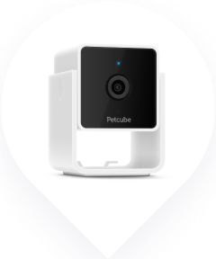 Petcube Cam Pet Monitoring Camera with 24/7 Online Vet