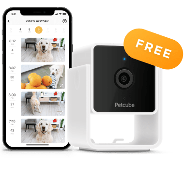 Petcube Cam Pet Monitoring Camera with 24/7 Online Vet