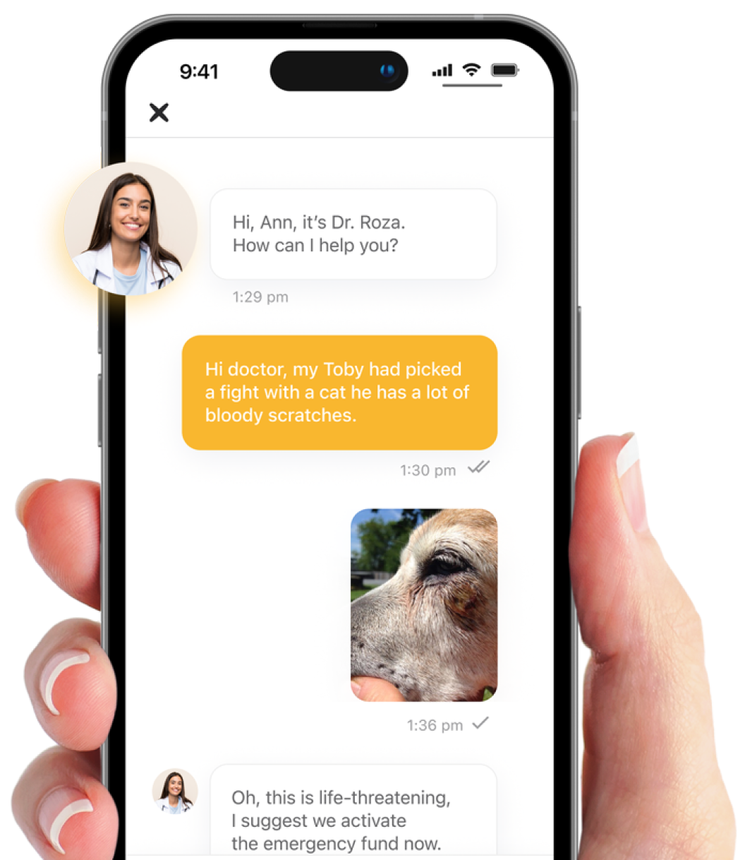 Petcube Cam 360 Pet Monitoring Camera with 24/7 Online Vet