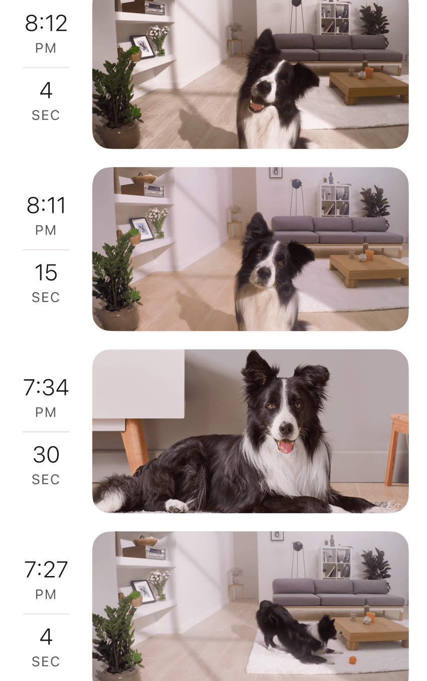 Petcube Cam Pet Monitoring Camera with 24/7 Online Vet