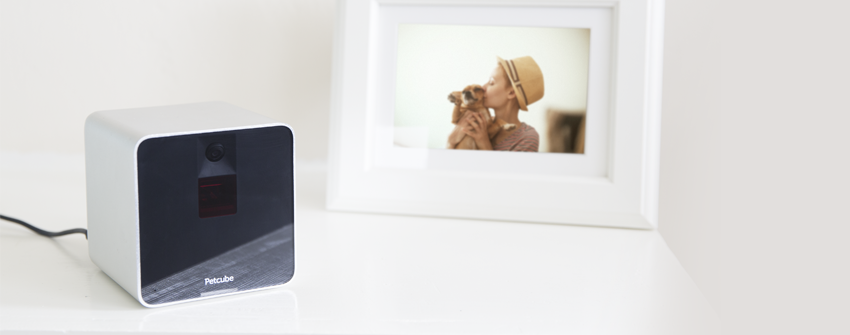 Petcube Begins Shipping its Highly-Anticipated Camera for the Holidays
