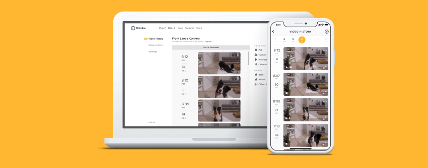 Petcube Brings Video History to the Web