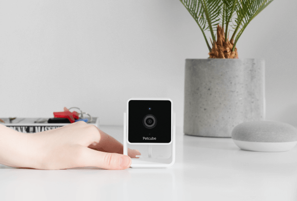 Petcube launches Cam, an affordable smart pet camera