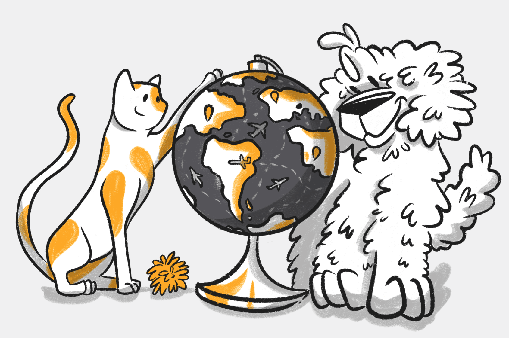 Petcube is Now Available in 21 Countries