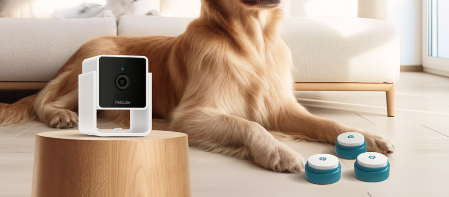 Real-Time Pet Conversations: Petcube Teams Up with FluentPet